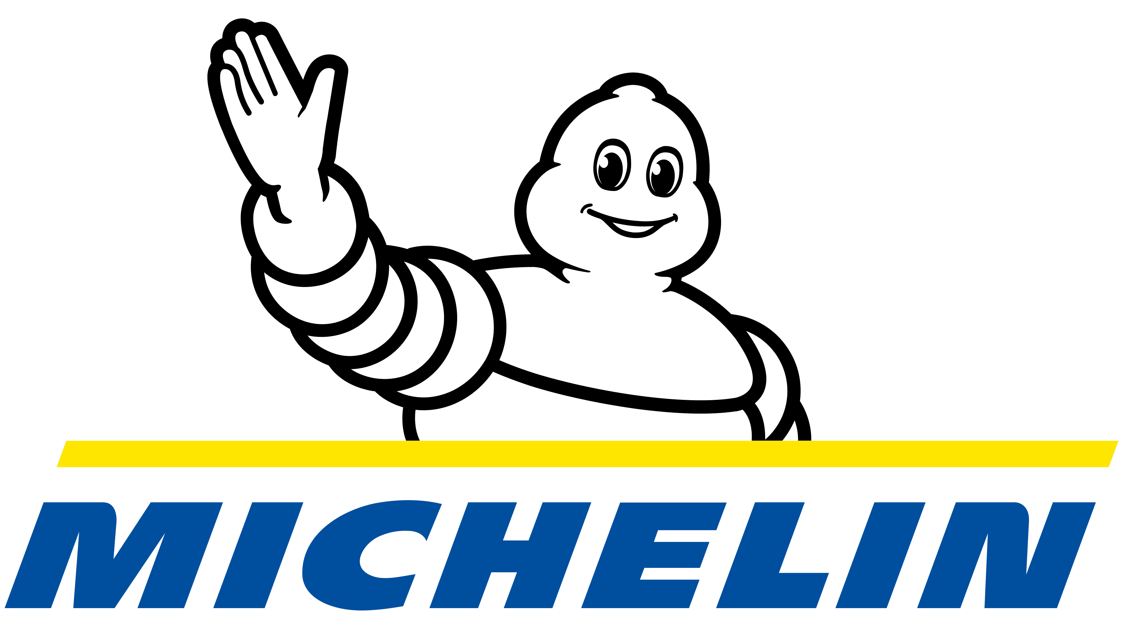 MichelinDealerSpoForm michelindealerspoform